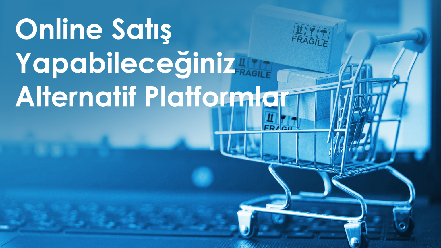 Online Satış Yapabileceğiniz Alternatif Platformlar – Ekol360°